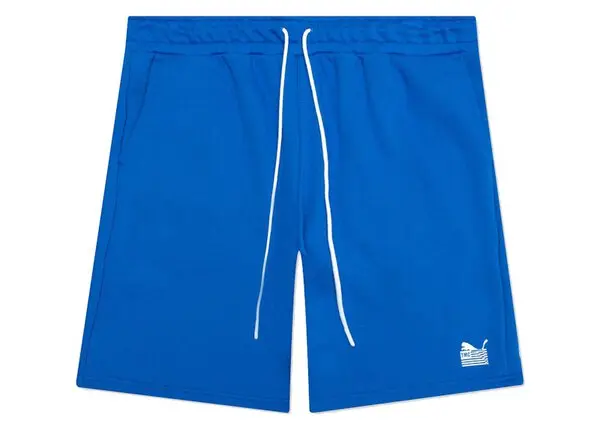 PUMA X Tmc Every Day Hussle Sweatshort - Blue