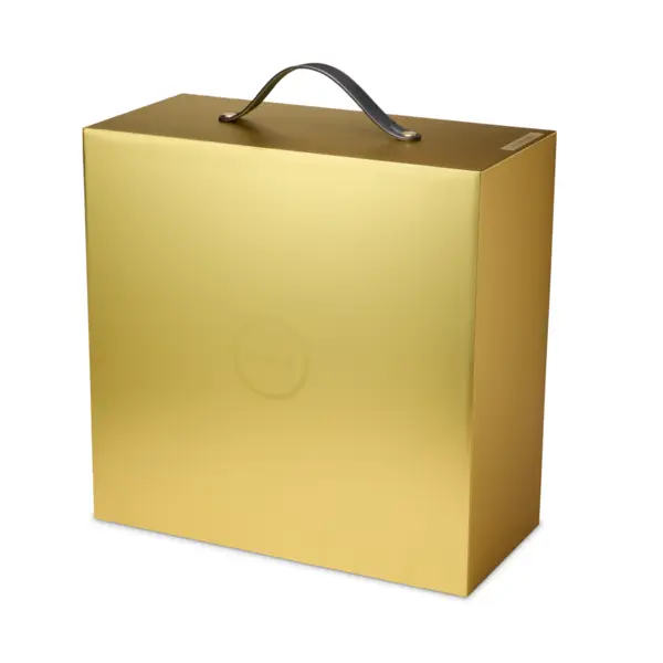 Nike Lebron Xxiii "shoes Bag" Basketball Shoes