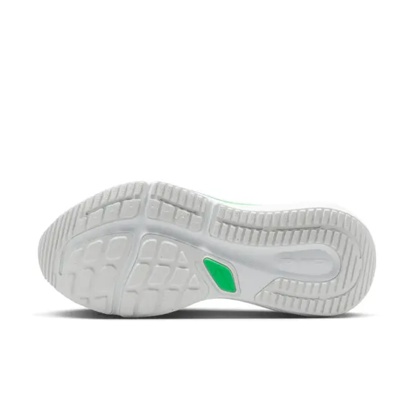 Nike Winflo Road Running Shoes