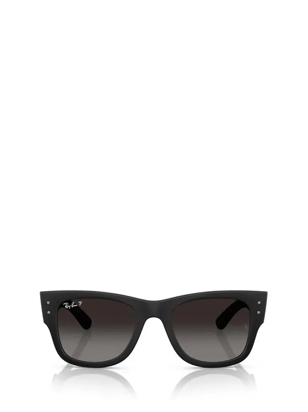 Ray-ban Wayfarer Polarized Sunglasses