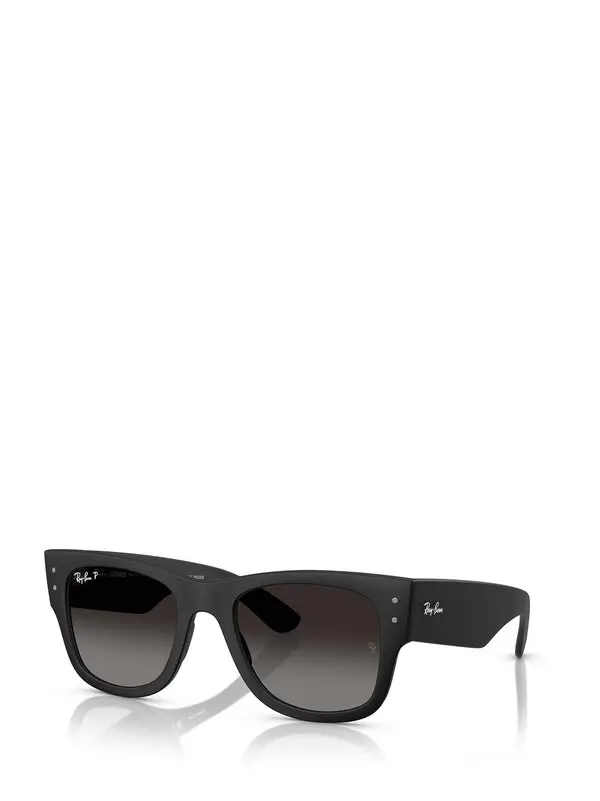 Ray-ban Wayfarer Polarized Sunglasses
