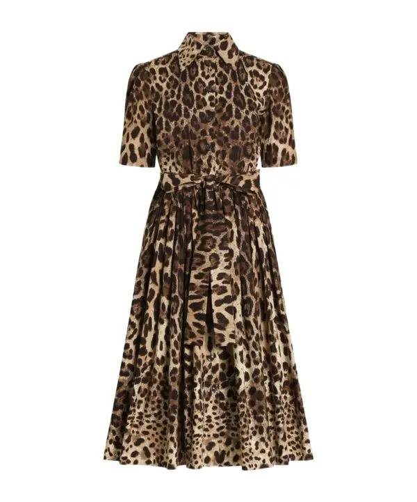 Dolce & Gabbana Leo-print Poplin Shirt Dress - Multi-color