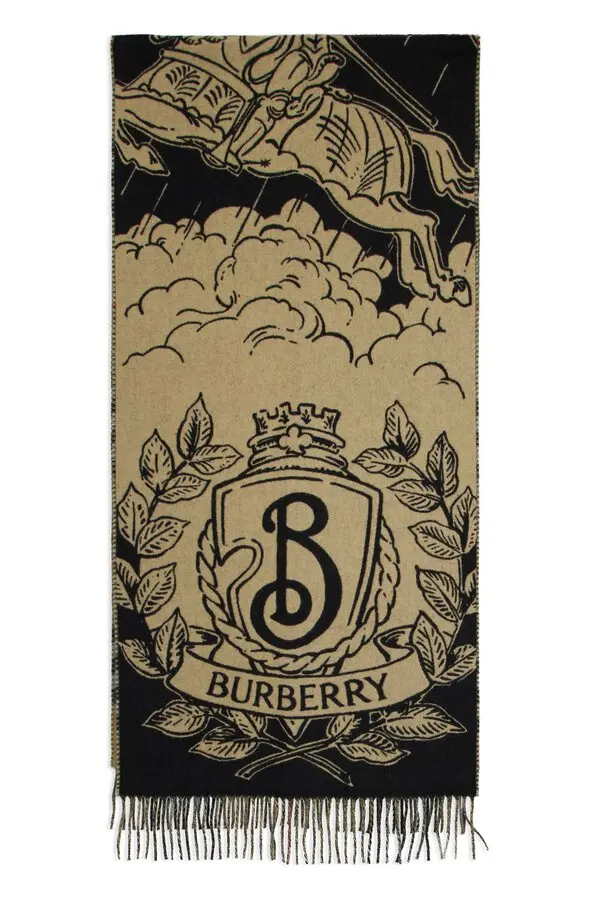 Burberry Reversible Cashmere Scarf, 210 Cm X 50 Cm - Black