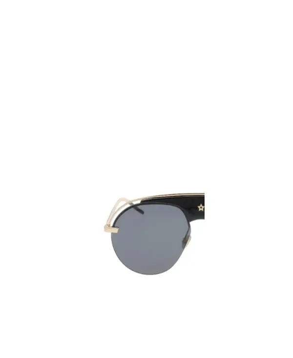Dior Dioevolution Sunglasses