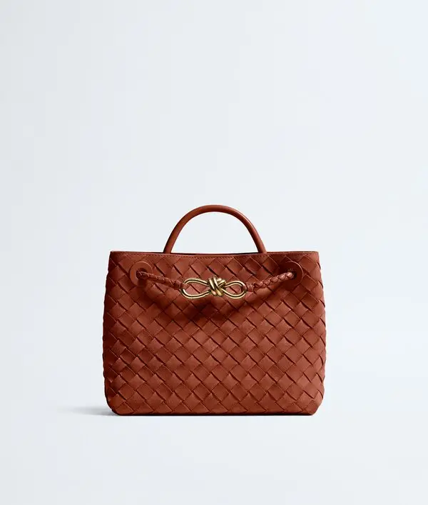Bottega Veneta Small Andiamo
