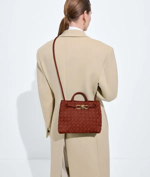 Bottega Veneta Small Andiamo