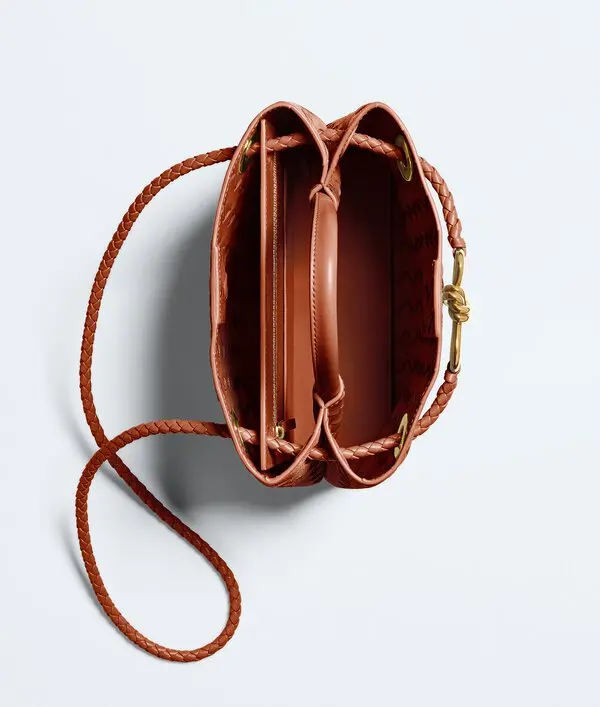 Bottega Veneta Small Andiamo