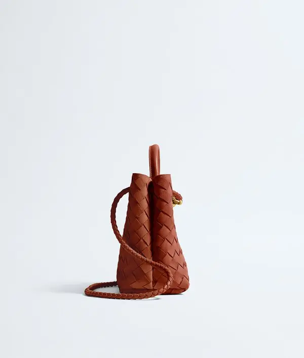 Bottega Veneta Small Andiamo