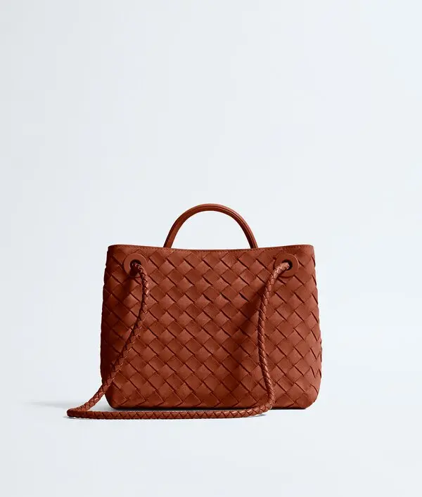 Bottega Veneta Small Andiamo