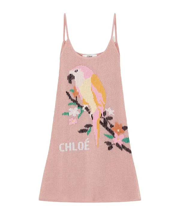 Chloé Slip Dress