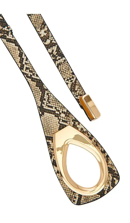 8 Other Reasons Belt With Gold Hardware In Multi