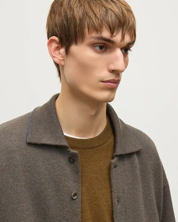Johnstons Of Elgin Tweel Grey & Cahmere Hirt