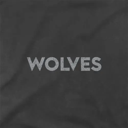 STADIUM ESSENTIALS Minnesota Timberwolves Get Back Vintage T-shirt