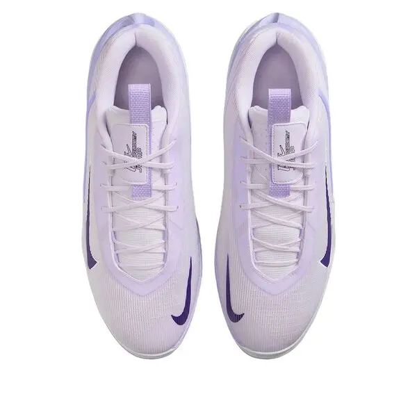 Nike Zoom Gt Jump Academy Fv5524-500 - Barely Grape/hydrangeas/white