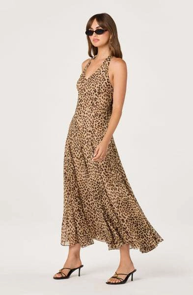 Astr The Label Myra V-neck Halter Maxi Dress In Leopard Print
