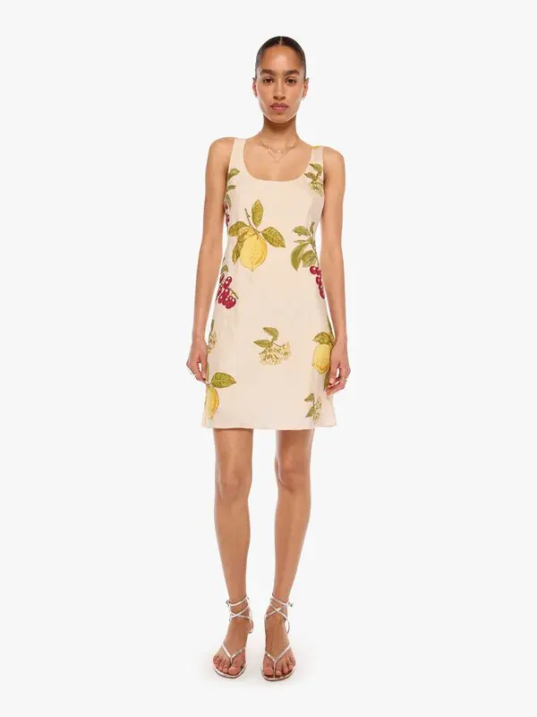 Alix Of Bohemia Addie Fruit Print Silk Mini Dress - Multi