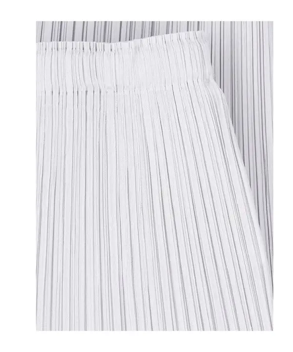 Issey Miyake Pleated Skirt