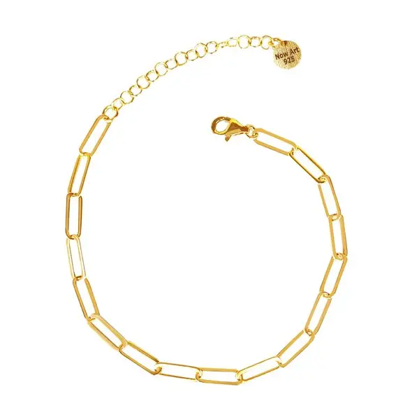 NOWART JEWELRY 18k Plated Sterling Silver Link Chain Bracelet - Gold