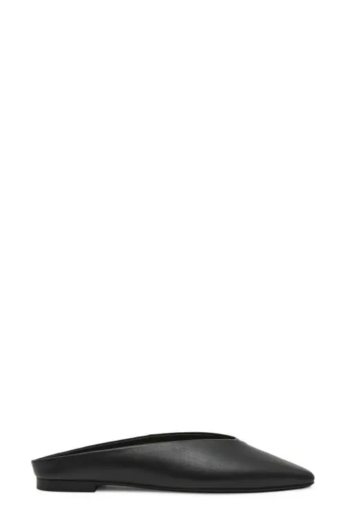 Steve Madden Sherman Mule - Black Leather