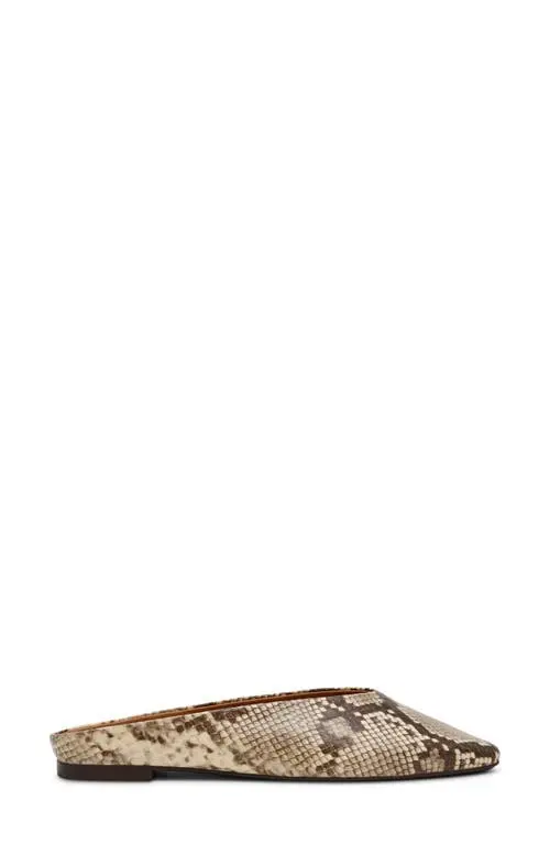 Steve Madden Sherman Mule - Snake Multi