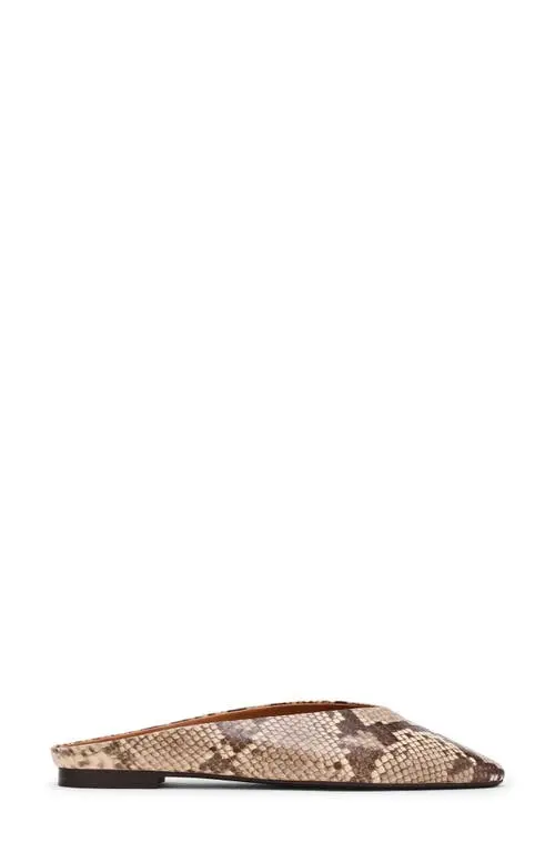 Steve Madden Sherman Mule - Snake Multi