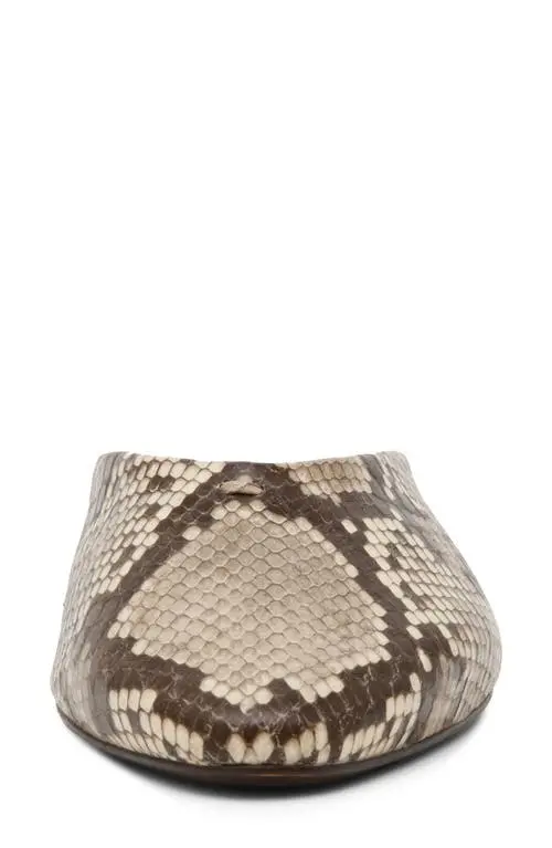 Steve Madden Sherman Mule - Snake Multi