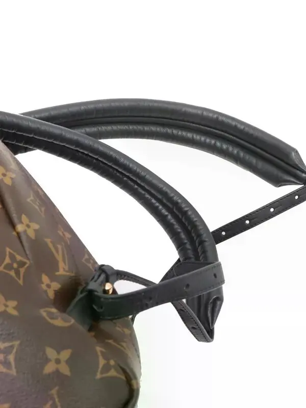 LOUIS VUITTON 2019 Monogram Palm Springs Mm Backpack