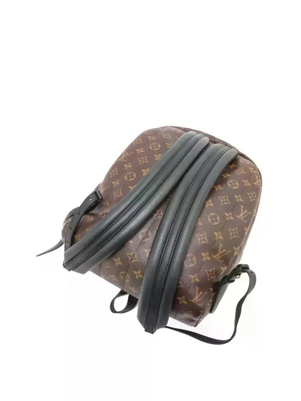 LOUIS VUITTON 2019 Monogram Palm Springs Mm Backpack