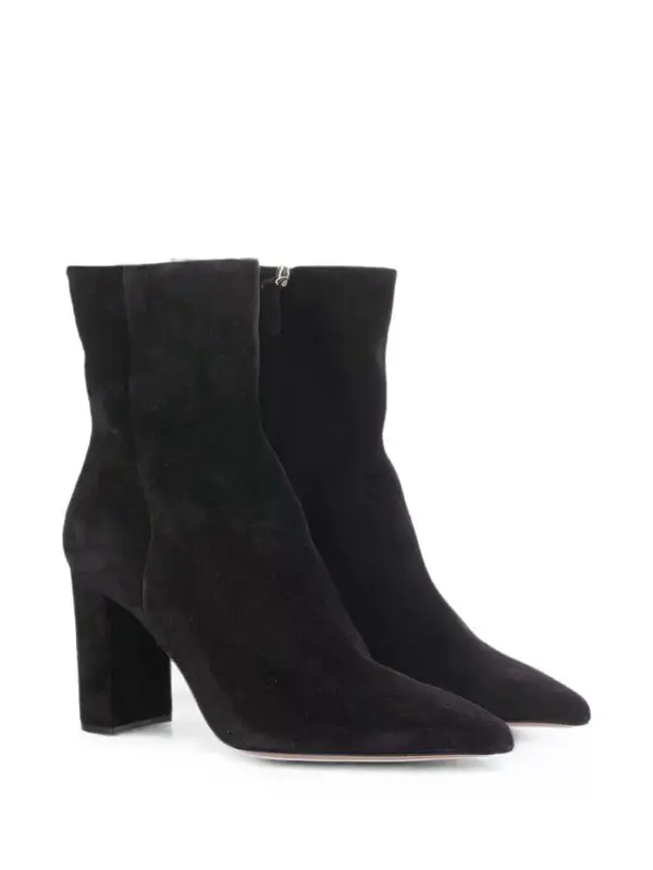 Paris Texas Anja Suede Pointed-toe Ankle Boots - Black
