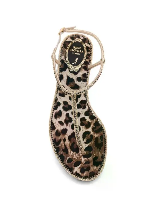 Rene Caovilla Diana Leopard-print Sandals