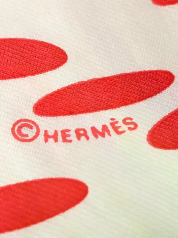 Hermès 2010s Twilly Hola Flamenca Scarf