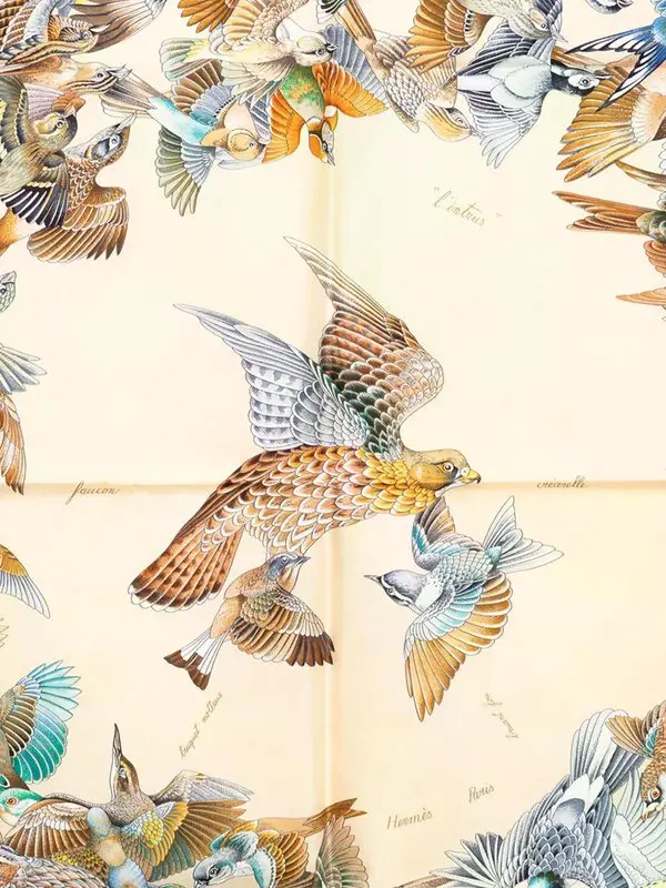Hermès 1996 L Intrus Silk Scarf 90 Scarves - Neutrals