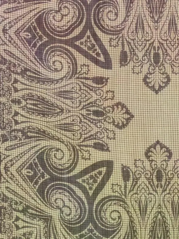 Etro Paisley-print Scarf