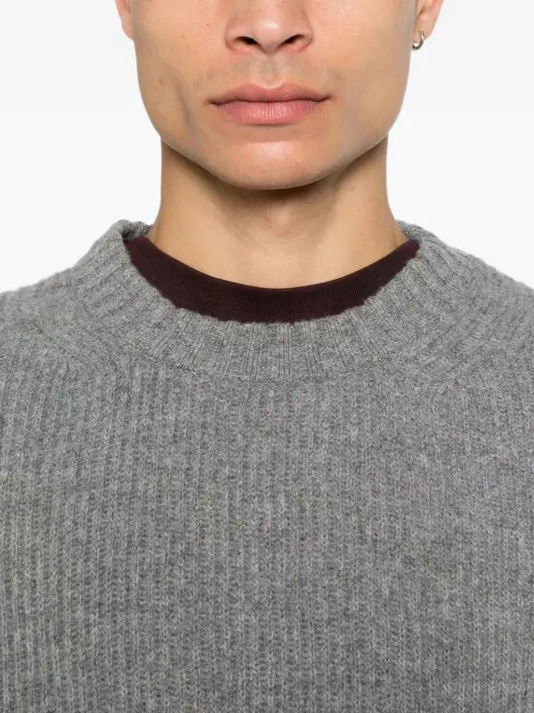 DIANA STUDIO Ribbed Knit Crew Neck Sweater