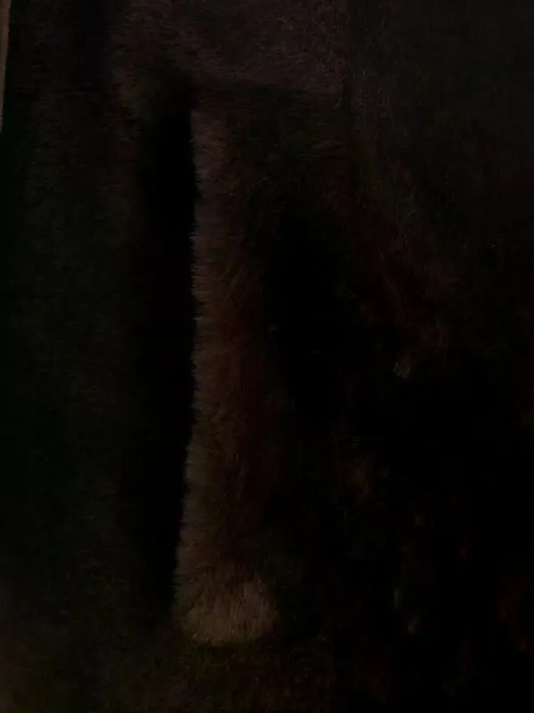 BLANCHA Long-sleeve Shearling Coat