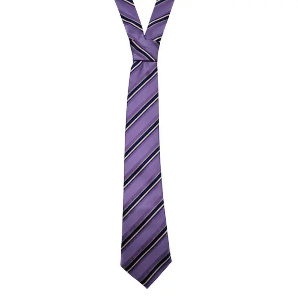 NANDANIE Blair Silk Classic Tie - Purple