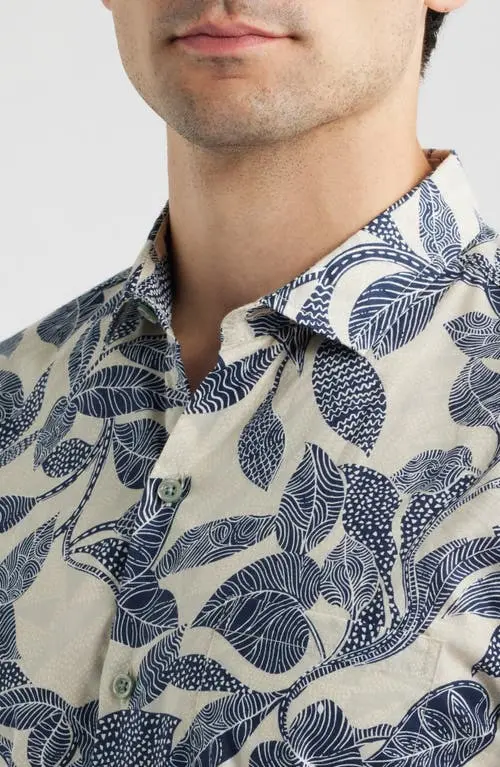 Tori Richard Branching Out Short Sleeve Button-up Shirt - Ivory