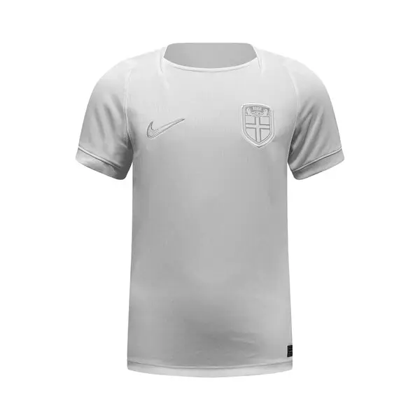 Nike Norway 2026 Stadium Third Dri-fit Replica Shirt /pure Platinum - White