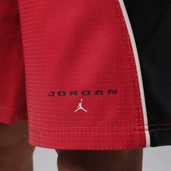 JORDAN Flight Cat Scratch Shorts
