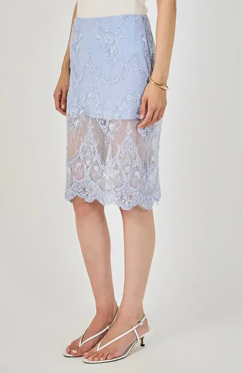 Endless Rose Sequin Lace Midi Skirt