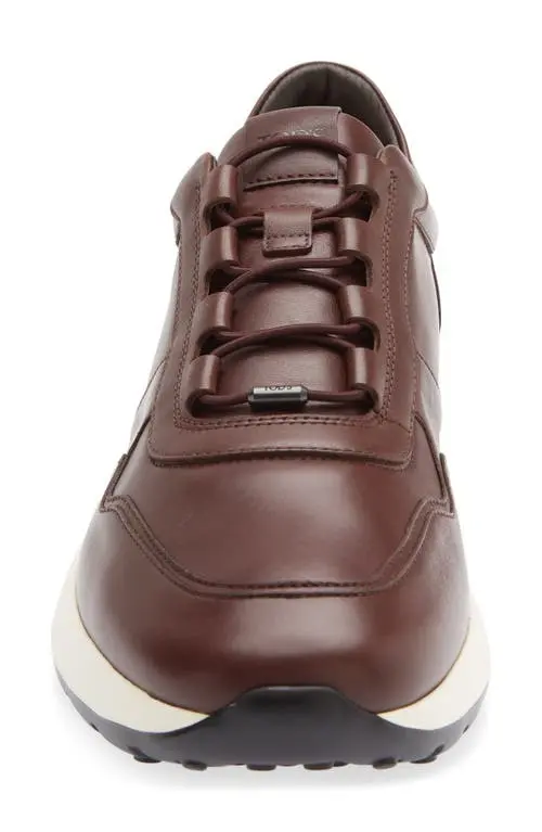 TOD'S Sportivo Red Dot Sneaker