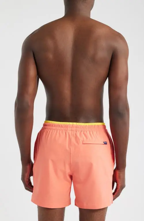 CHUBBIES The Peach Perfects 5.5-inch Swim Trunks
