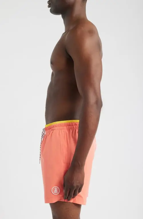 CHUBBIES The Peach Perfects 5.5-inch Swim Trunks