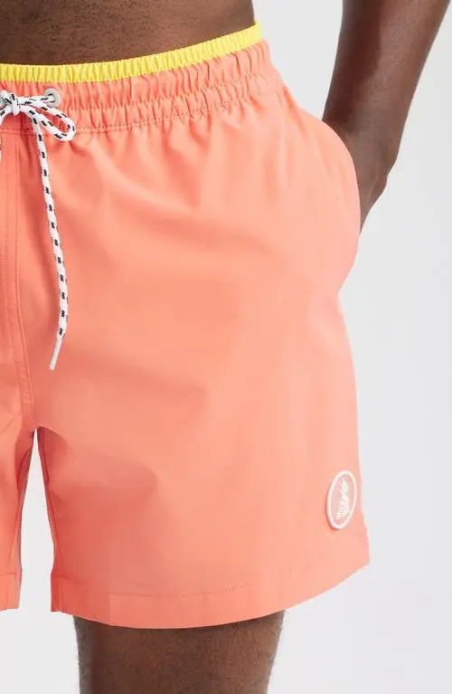 CHUBBIES The Peach Perfects 5.5-inch Swim Trunks