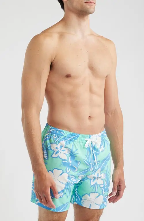 CHUBBIES The Baja Breezies 5.5 Classic Lined Swim Trunks