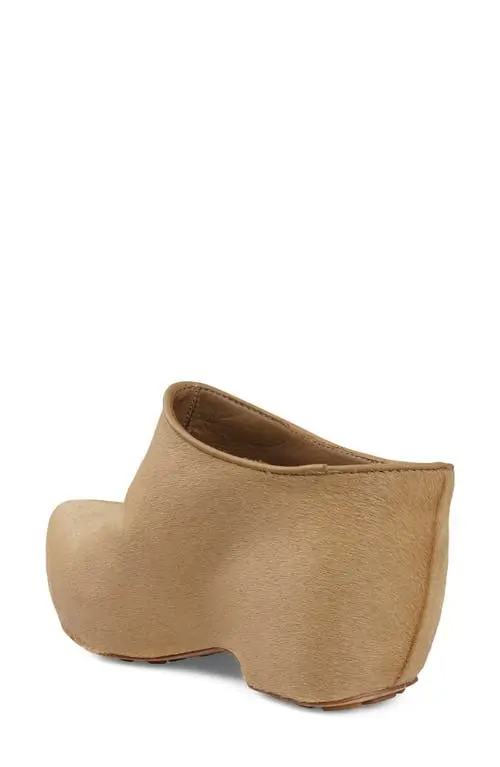 ZIGI Osmary Genuine Calf Hair Clog - Tanlt