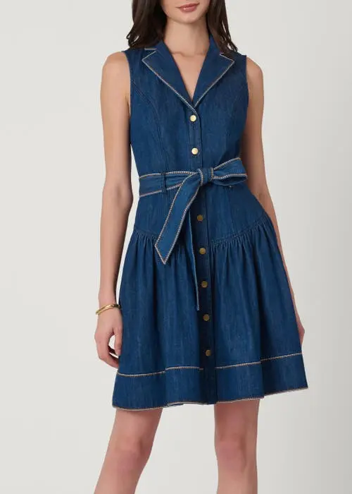 Shoshanna Embroidered Mae Dress