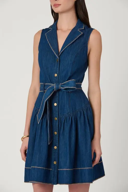 Shoshanna Embroidered Mae Dress