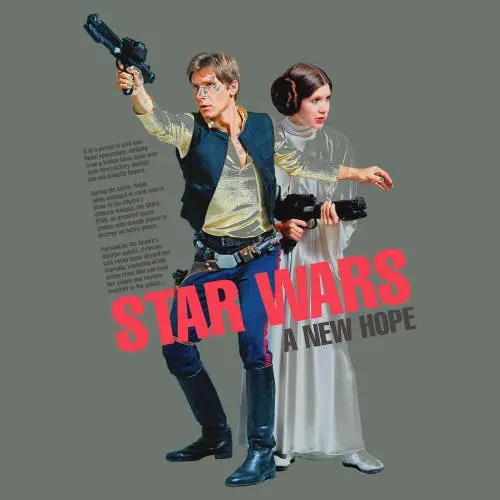 STAR WARS Han Solo And Leia Attack Pose Graphic T-shirt