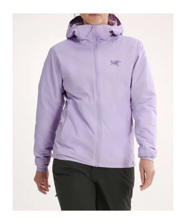 Arc'teryx Atom Hoody